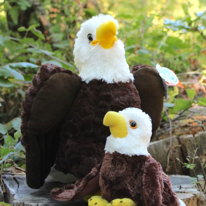 Shop | Cascades Raptor Center
