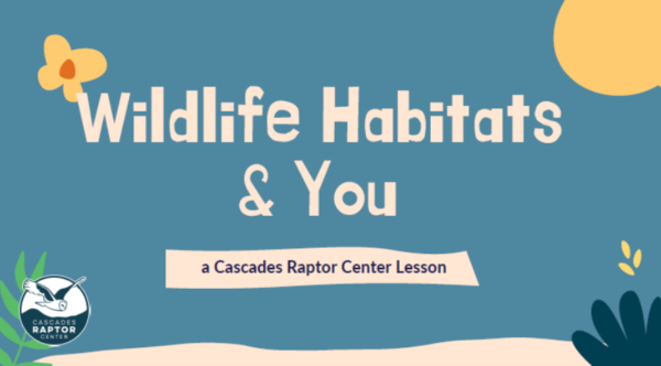 Raptor Lesson Plans | Cascades Raptor Center