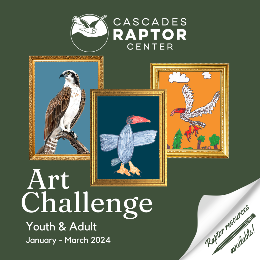 Raptor Art Exhibitions | Cascades Raptor Center