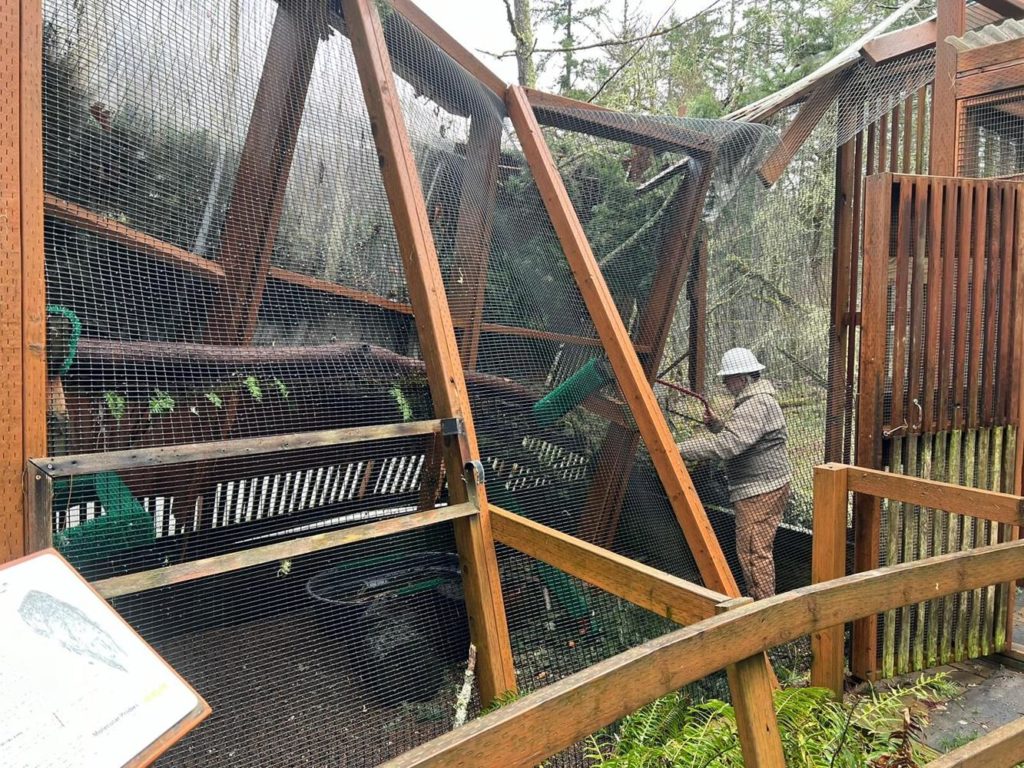 Media | Cascades Raptor Center