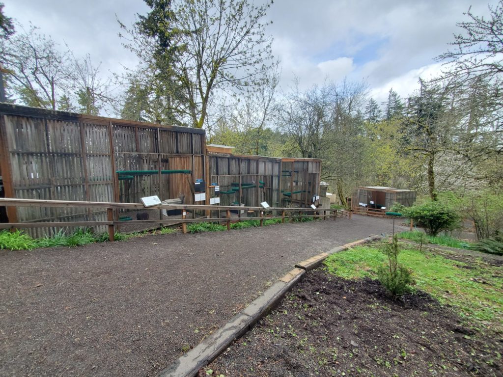 FAQ | Cascades Raptor Center