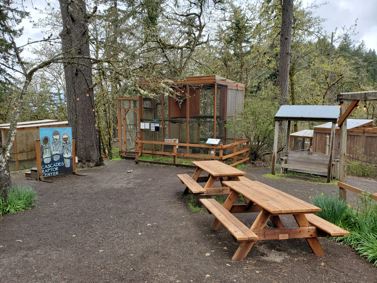 FAQ | Cascades Raptor Center