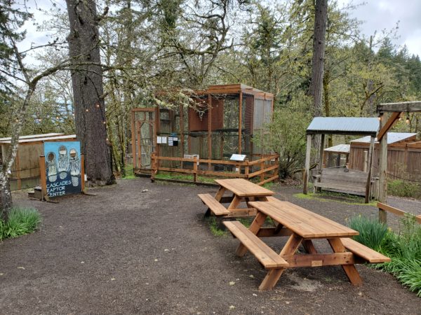 FAQ | Cascades Raptor Center