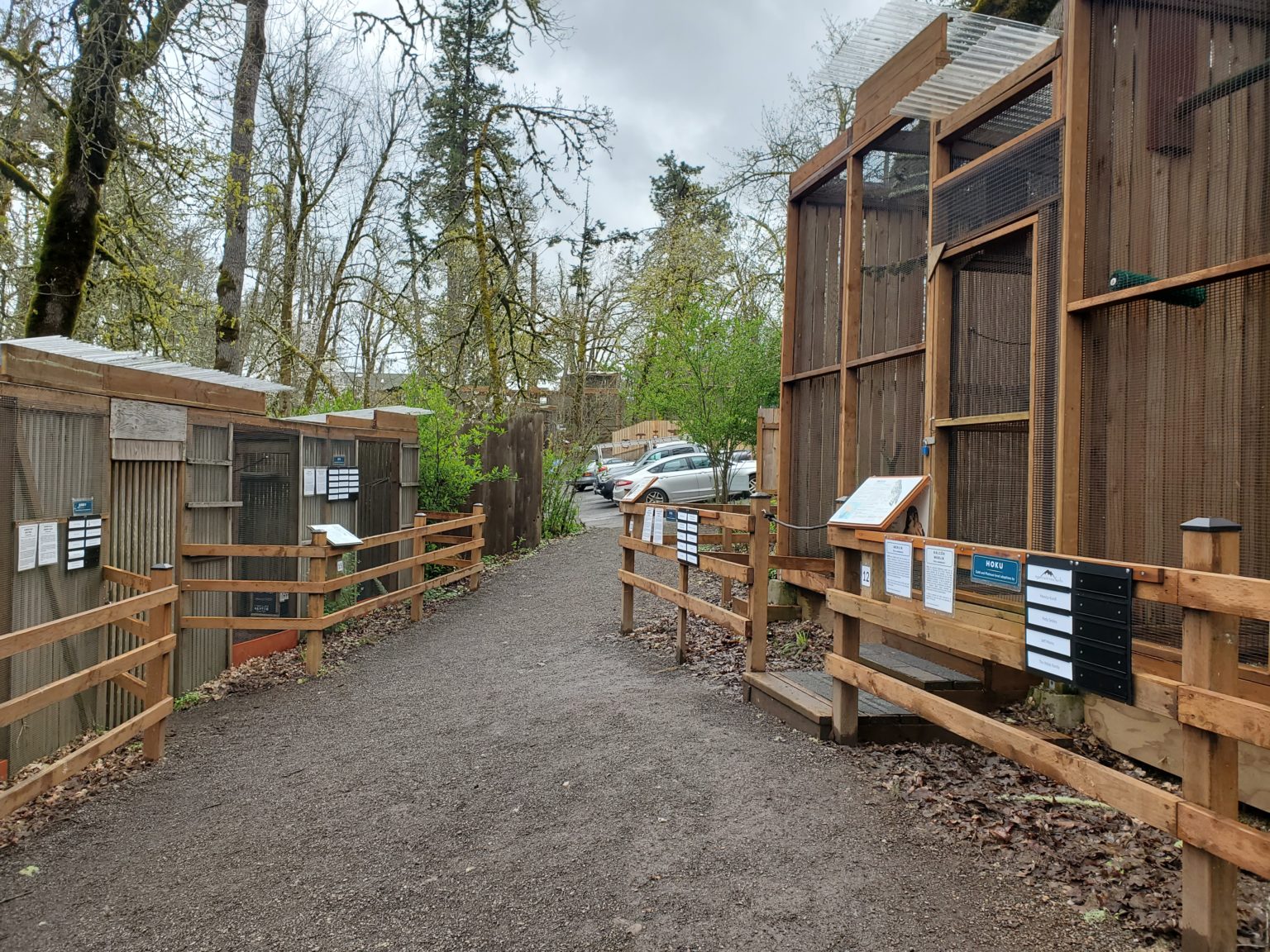 FAQ | Cascades Raptor Center