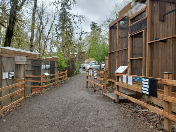 FAQ | Cascades Raptor Center
