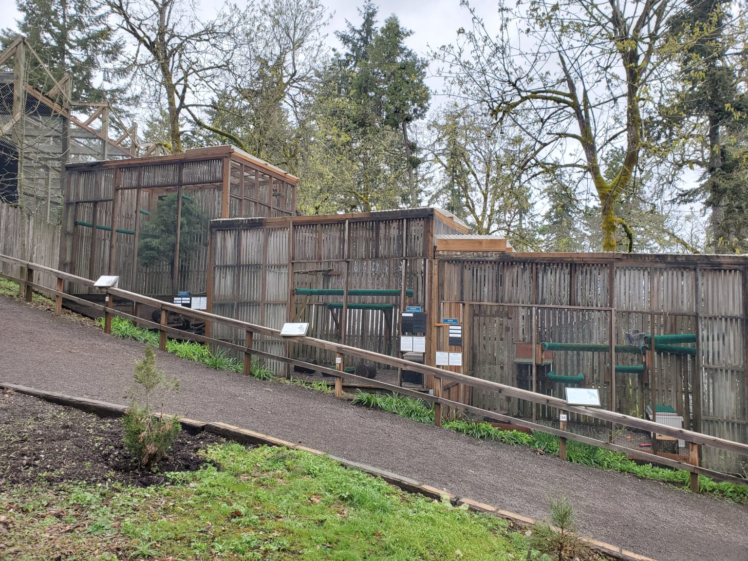 FAQ | Cascades Raptor Center