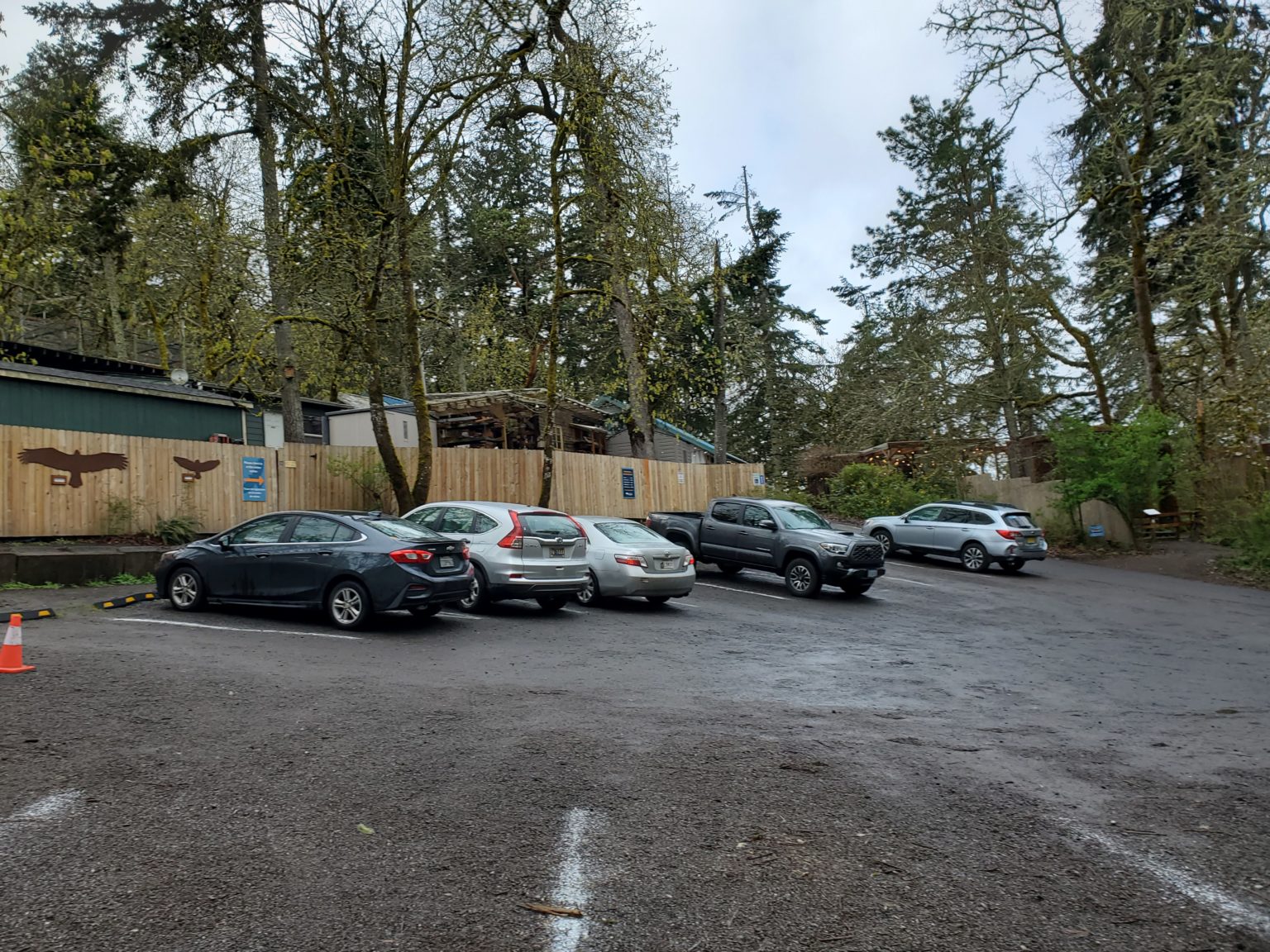 FAQ | Cascades Raptor Center