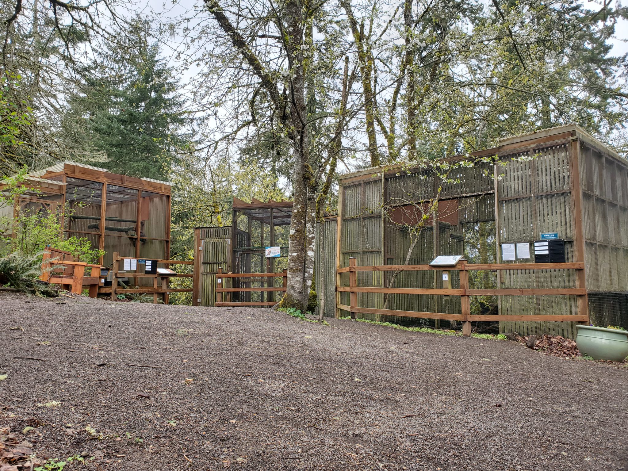FAQ | Cascades Raptor Center