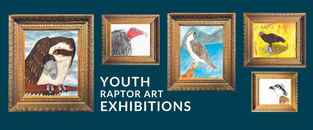 Raptor Art Exhibitions | Cascades Raptor Center