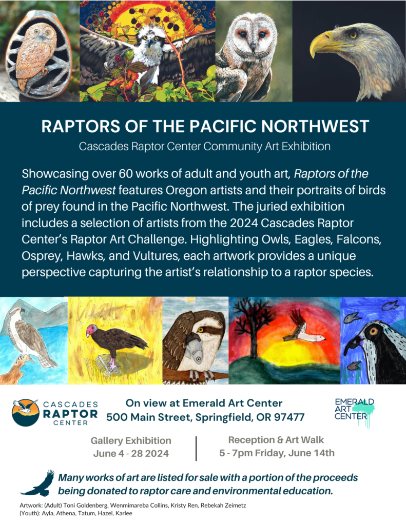 Creative Wildlife Connections - Raptor Art Challenge | Cascades Raptor ...