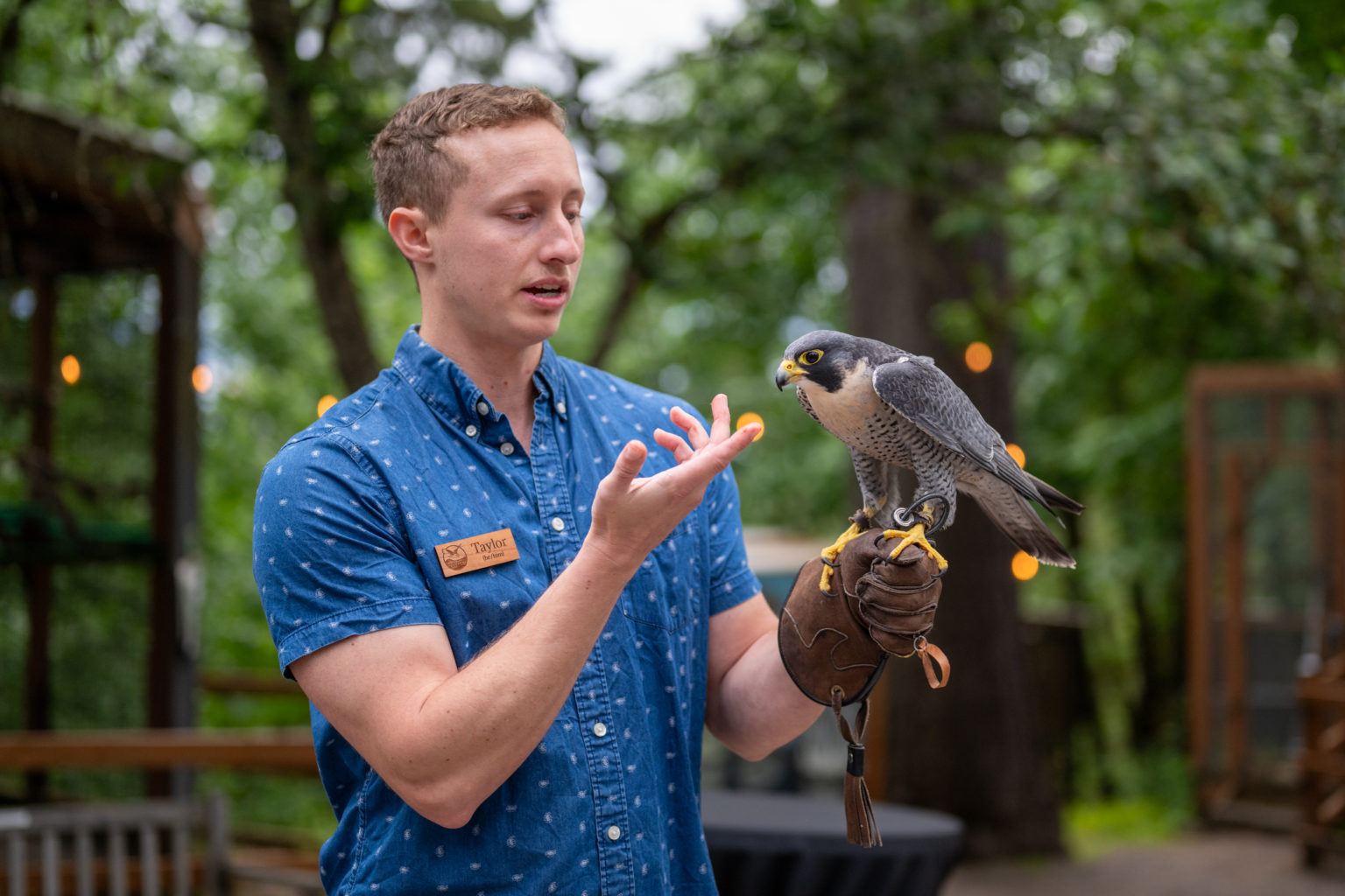 Our Training Work | Cascades Raptor Center